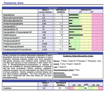Heavy Metals And Toxicity Lab Tests | Saul Marcus, ND